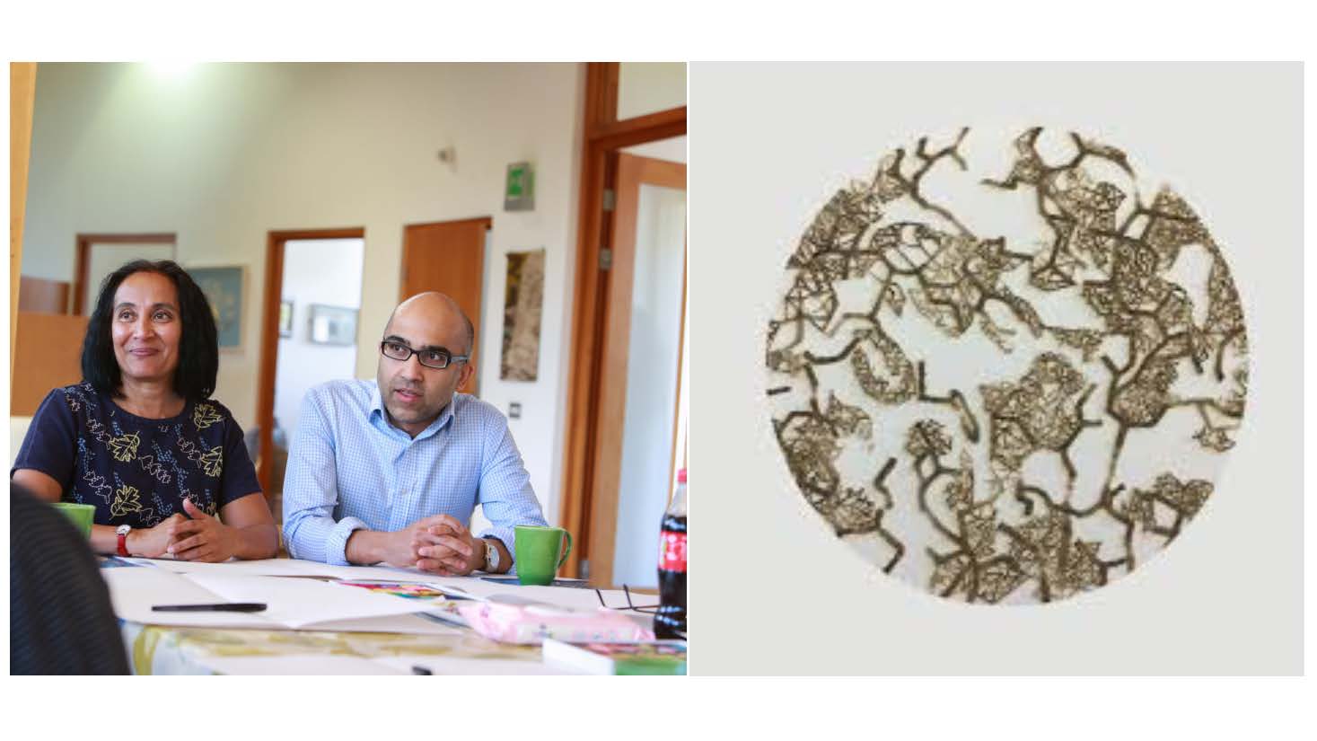 MRC PPU researcher receives Brian Cox Prize for Public Engagement | MRC PPU